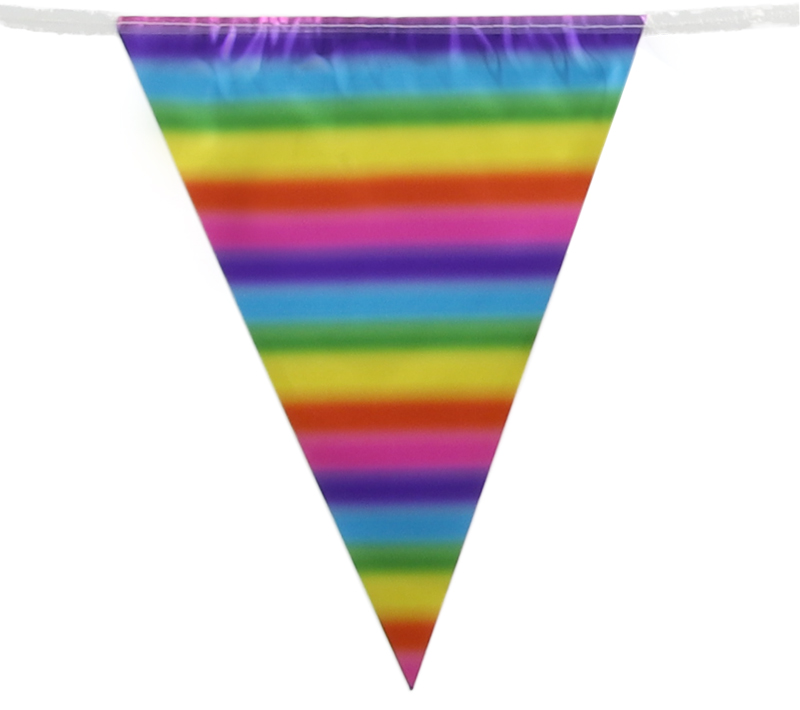 Party Bunting Metallic Rainbow 11 flags 3.9m - Bunting - Banners